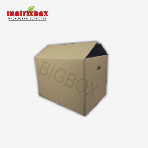 Big RSC Carton – matrixboxpackaging.com